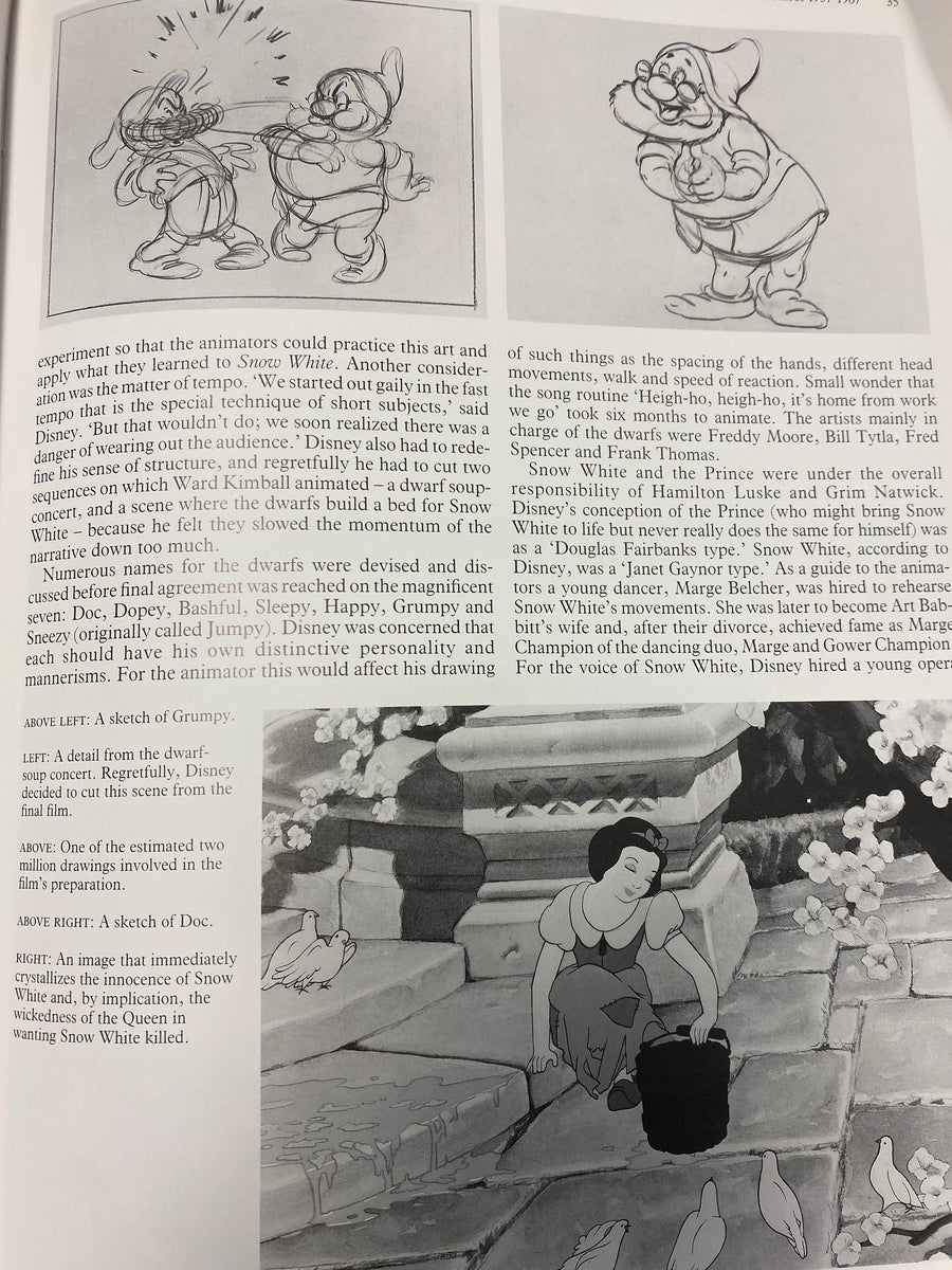 The Best of Disney By Neil Sinyard Hardcover 1988 – The Wonderful World ...