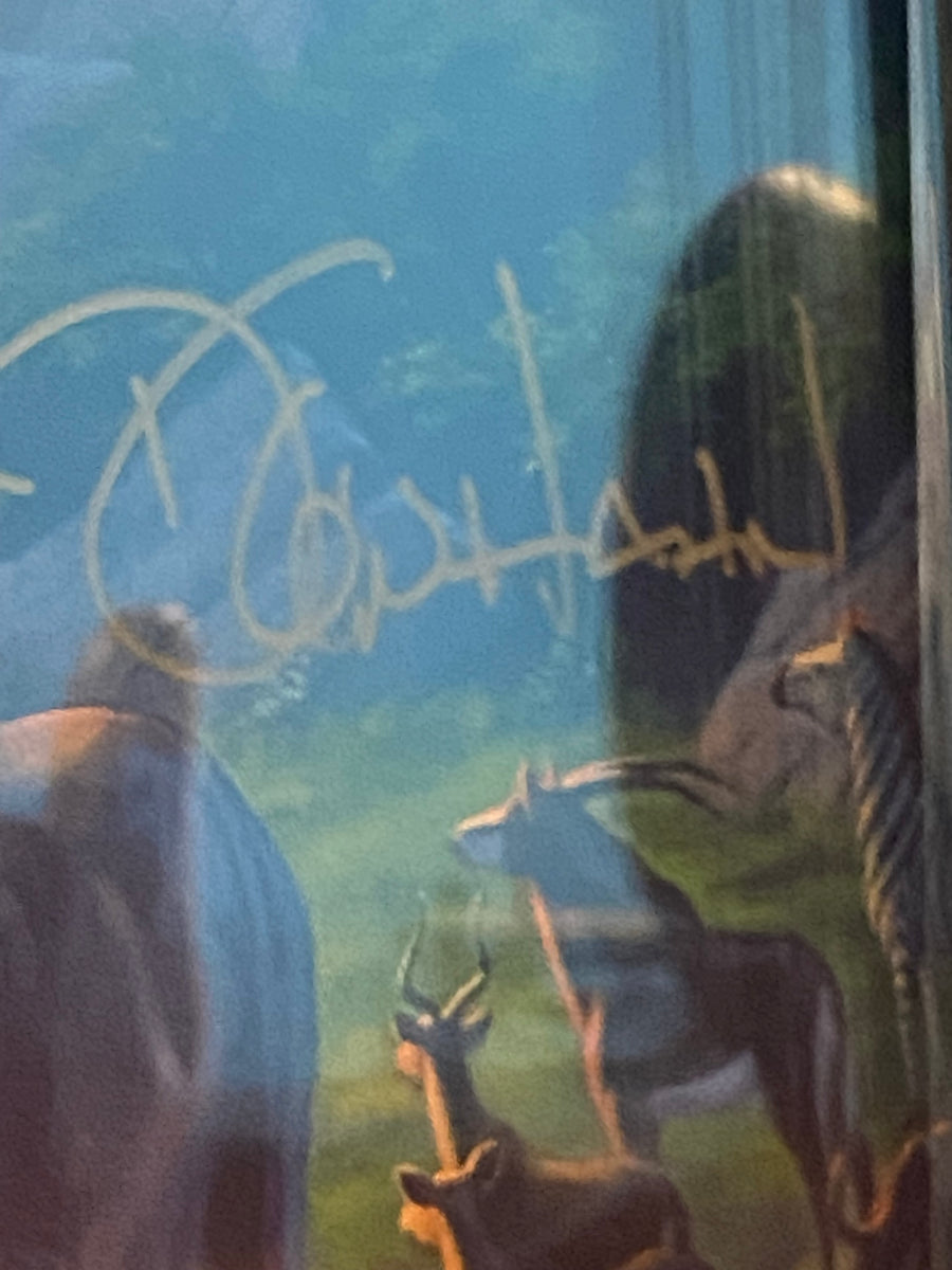 The Lion King Original Movie Poster Signed by Don Hahn – The Wonderful ...