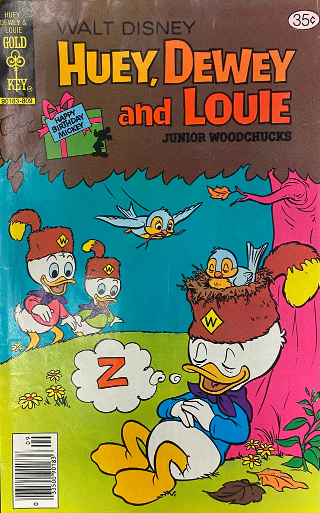 Huey Dewey and Louie Junior Woodchucks #58 Gold Key Comic 1978 – The ...